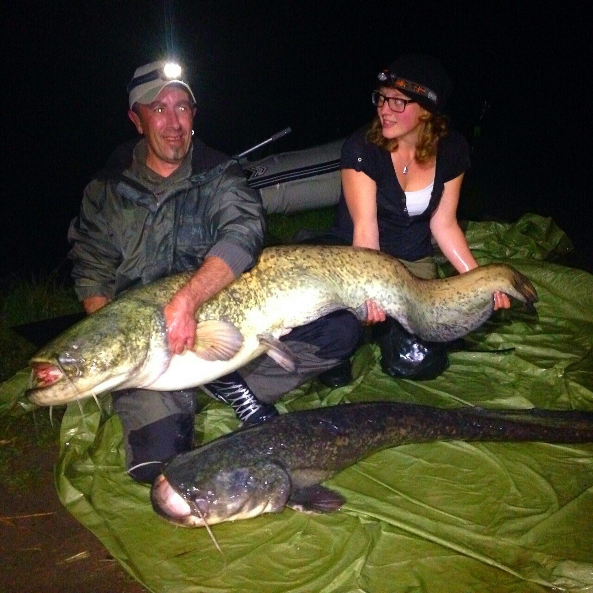 Riesenwels überzeugte die Jury - Urfahr-Umgebung