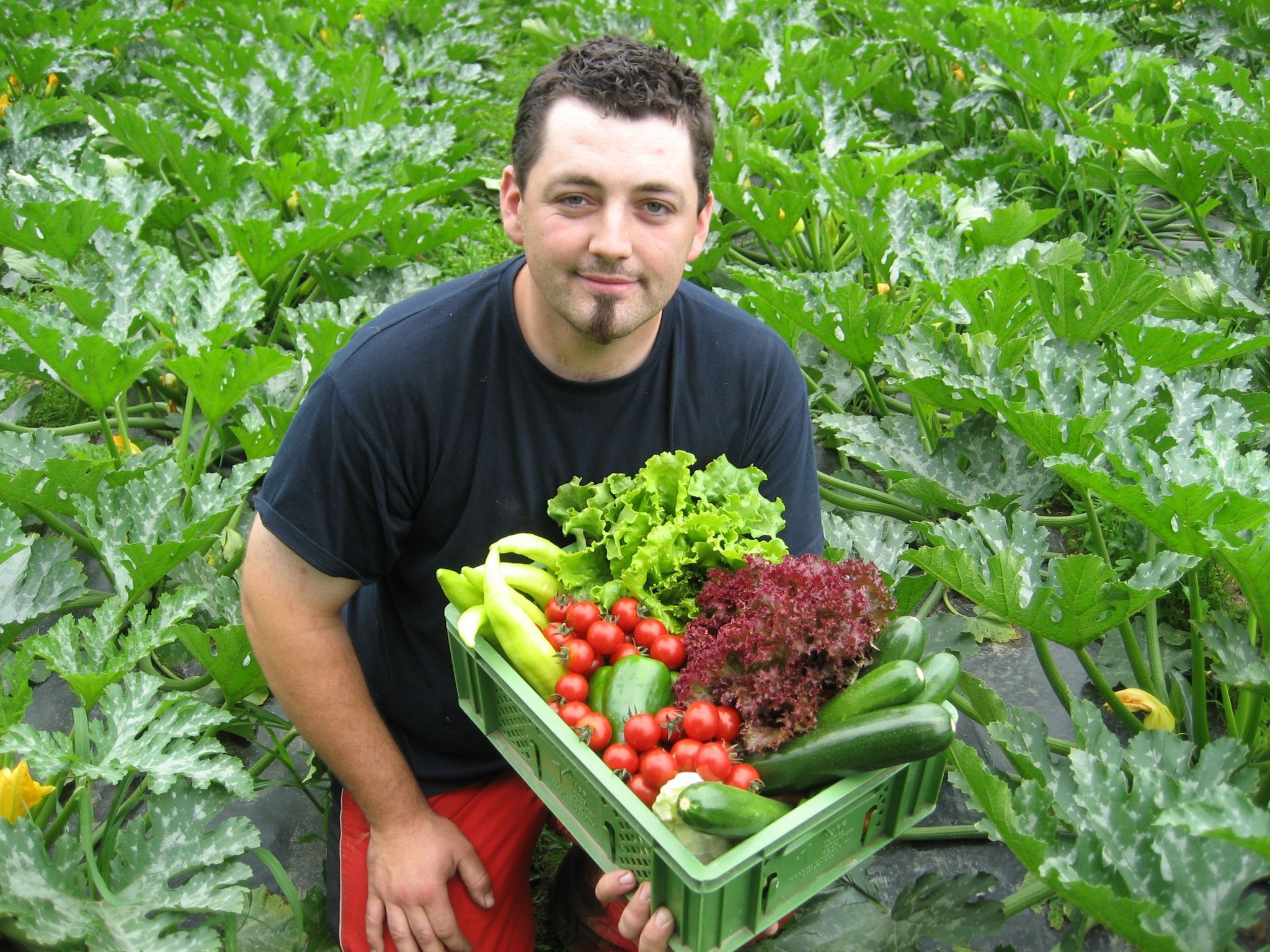 Bioprodukte kommen mit dem Kistl direkt ins Haus - Südoststeiermark