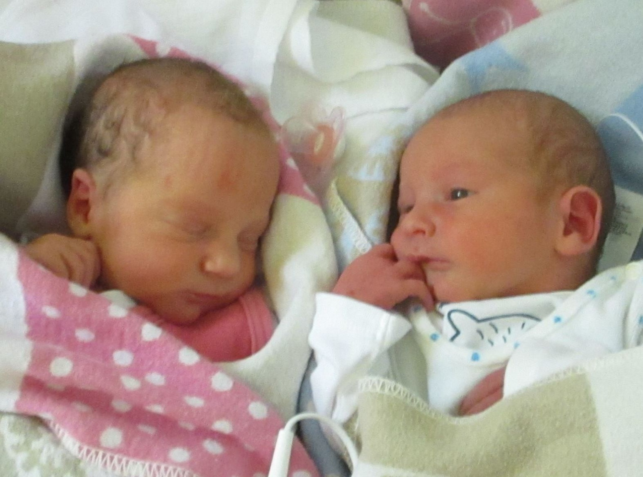 Melina Maria und Thomas Adelbert Leithner - Krems