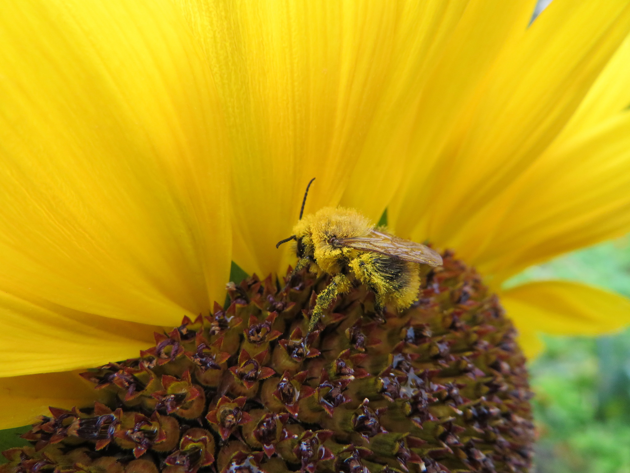 Ganz schön staubig - Innsbruck