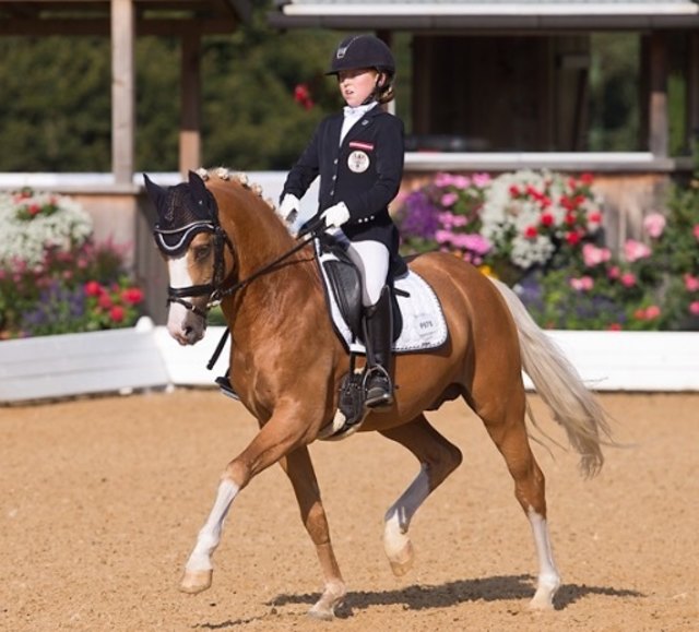 Kleine Dressurreiterin mit großem Potenzial - Kirchdorf