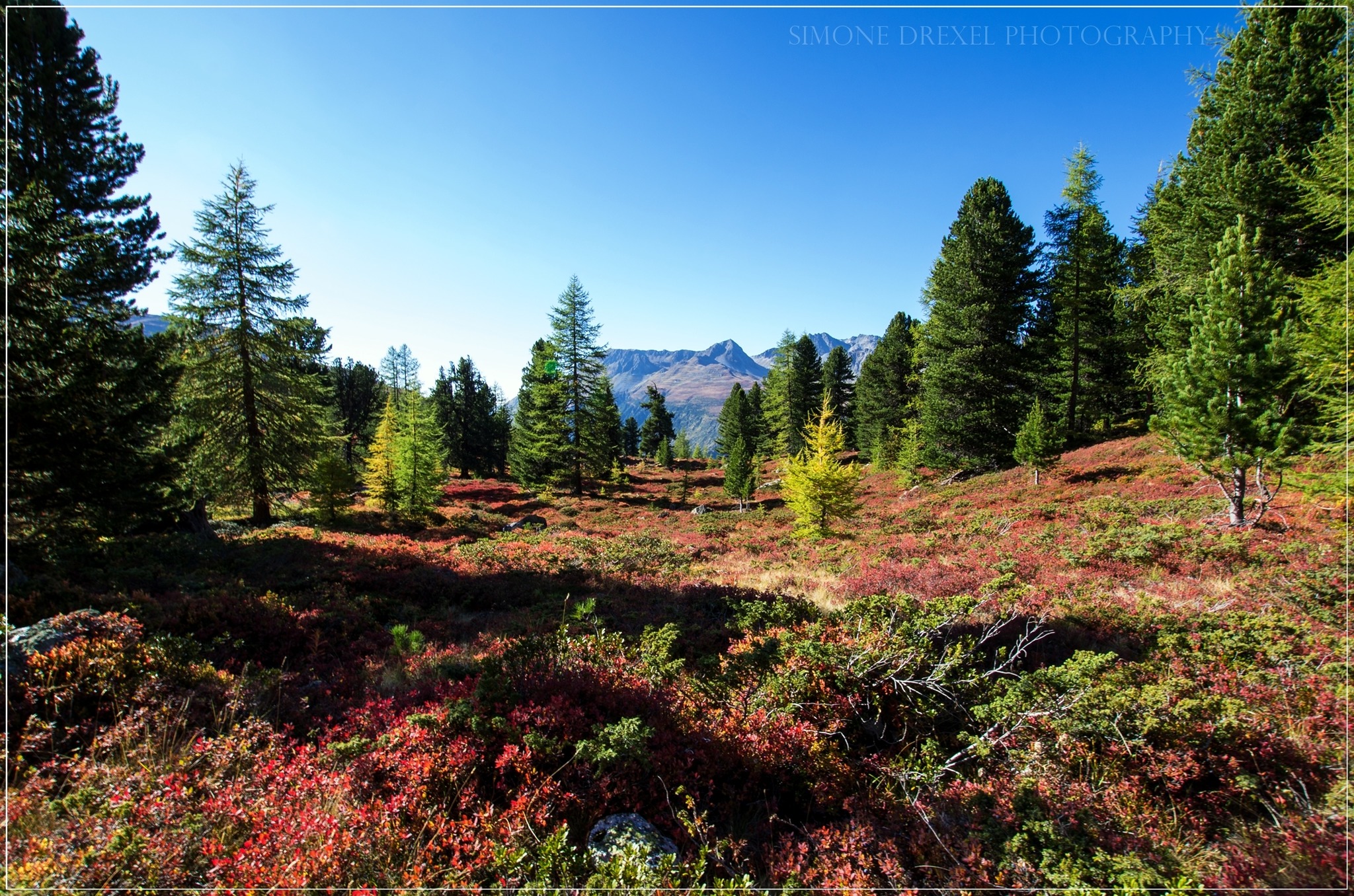 Herbstwanderung zum Berglisee in Mathon - Landeck