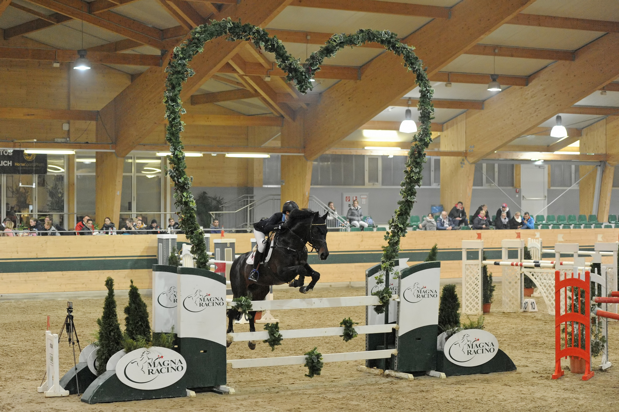 CSI2* Magna Racino :: Mehr als nur ein Springturnier! Viel los bei der ...
