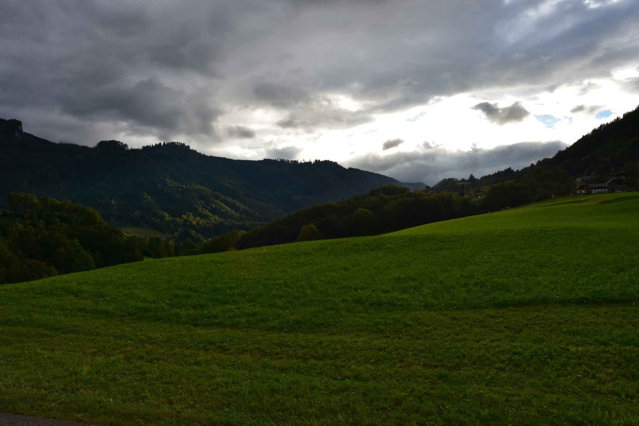 Wiesen, Wald und Sonnenschein - Salzkammergut
