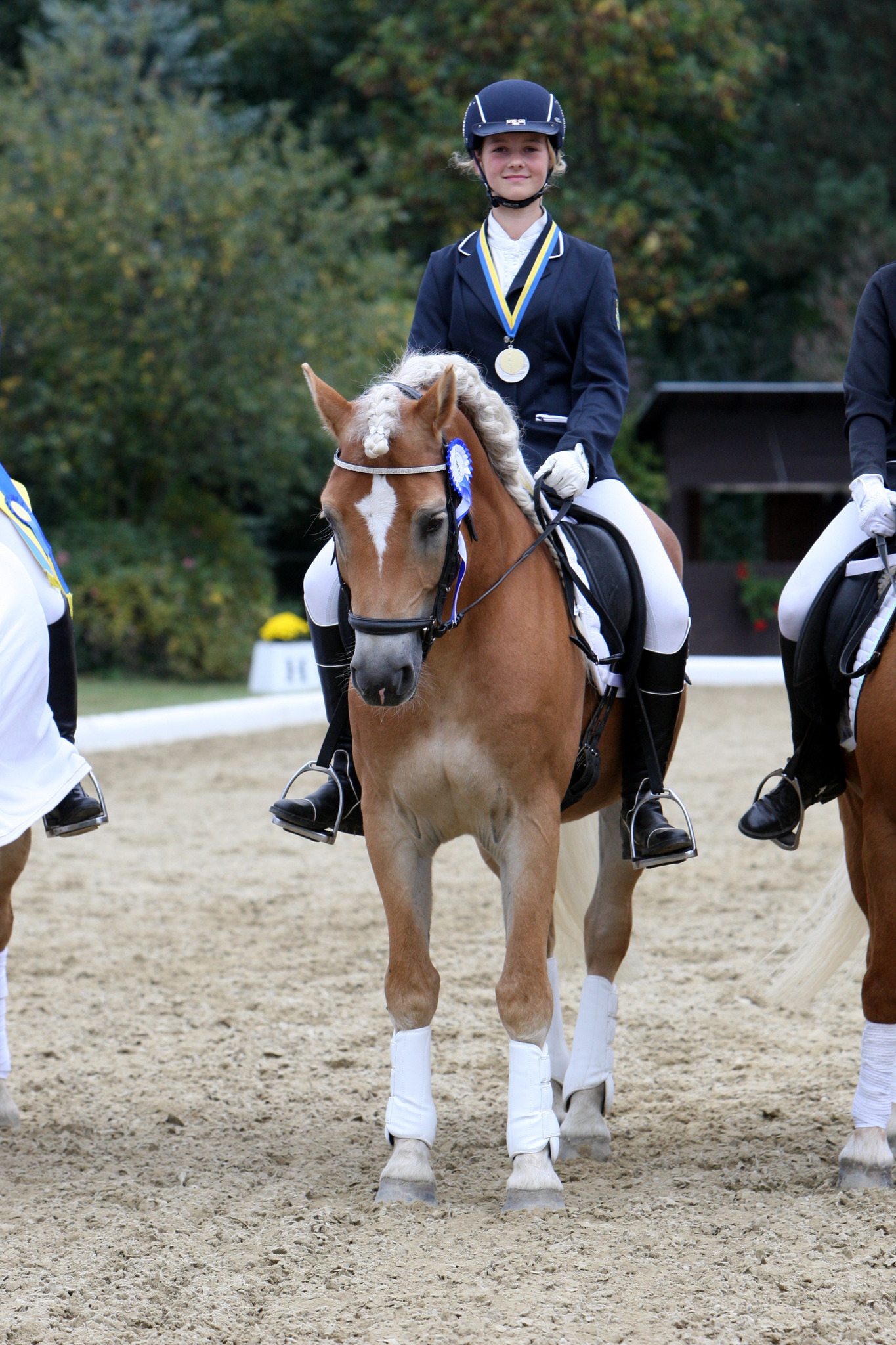Dressur und Military: Lisa Pribil und Haflinger Mystery sind ...