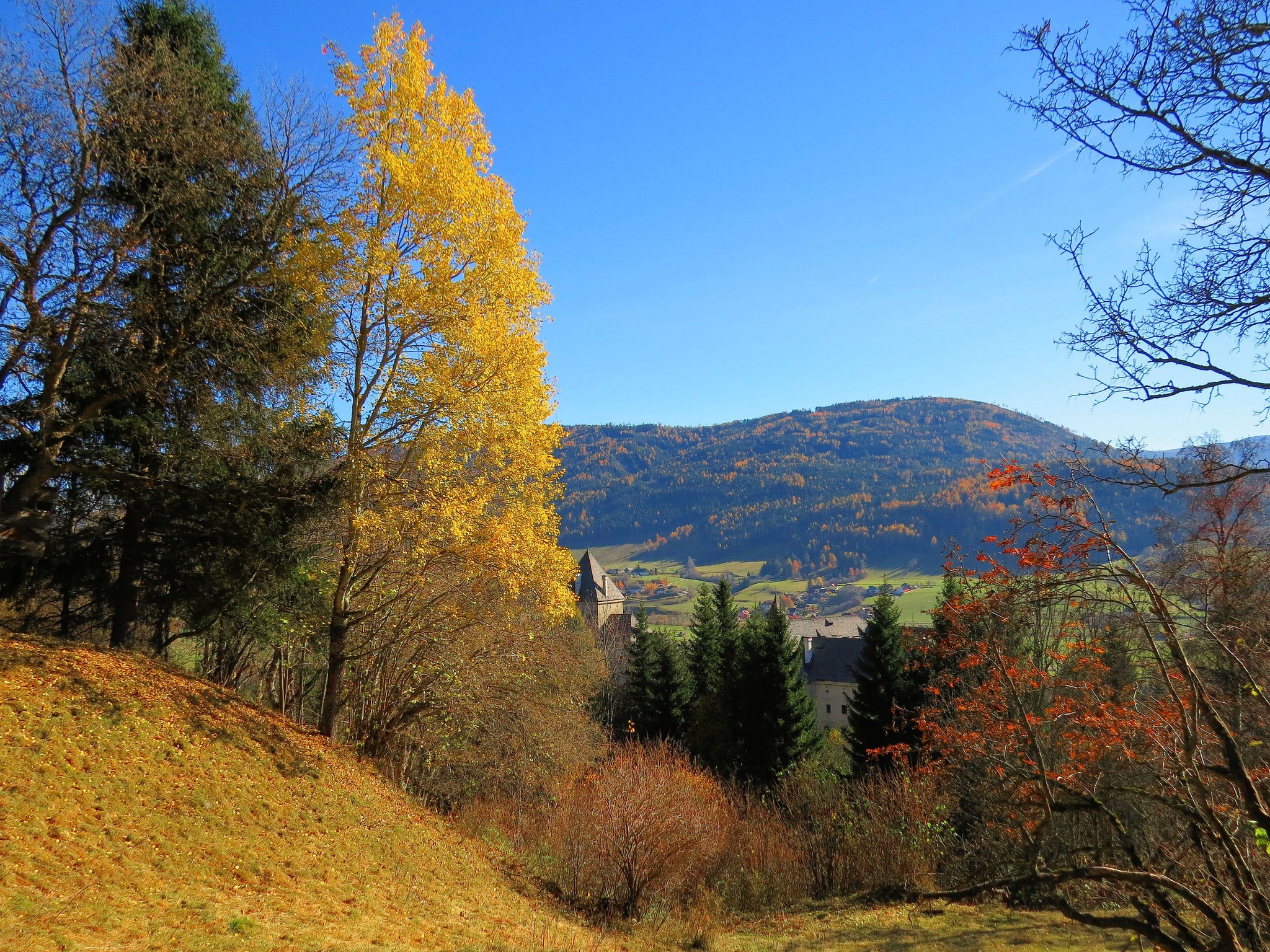 Das Schloss Moosham in farbigem Blütenkleid gerahmt - Lungau