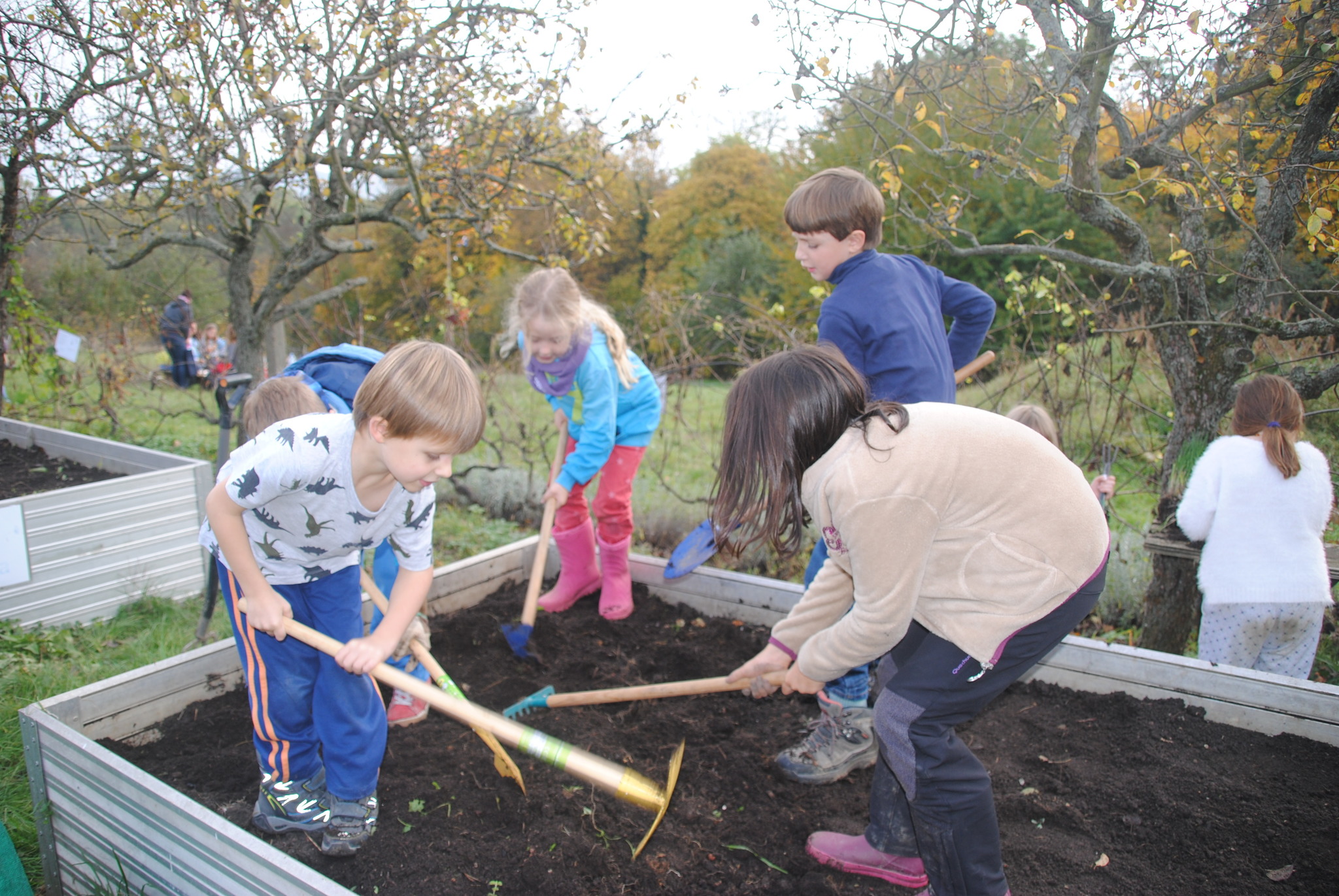 Spaß beim Gartenaktionstag der PVS Kritzendorf - Klosterneuburg