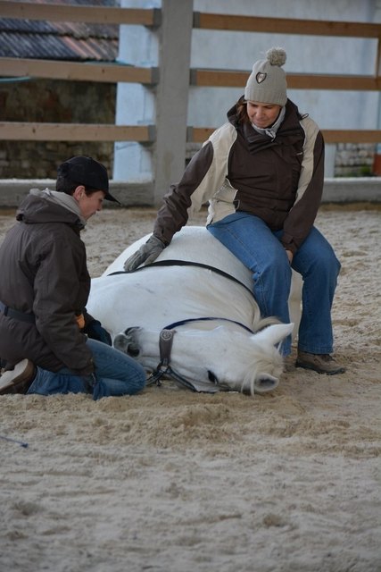 Zirkustik Kurs mit Martina Jirsa im UPSV Hobby Pferd - Tulln