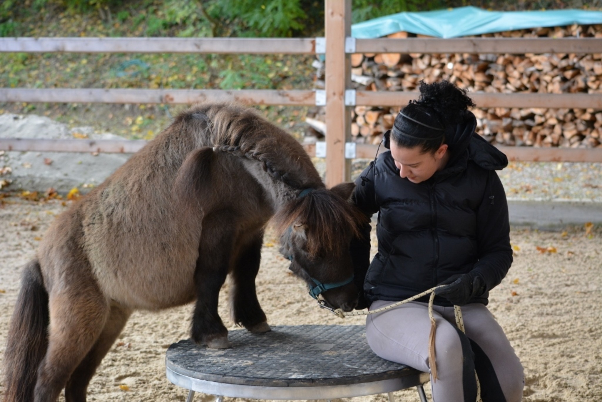 Zirkustik Kurs mit Martina Jirsa im UPSV Hobby Pferd - Tulln