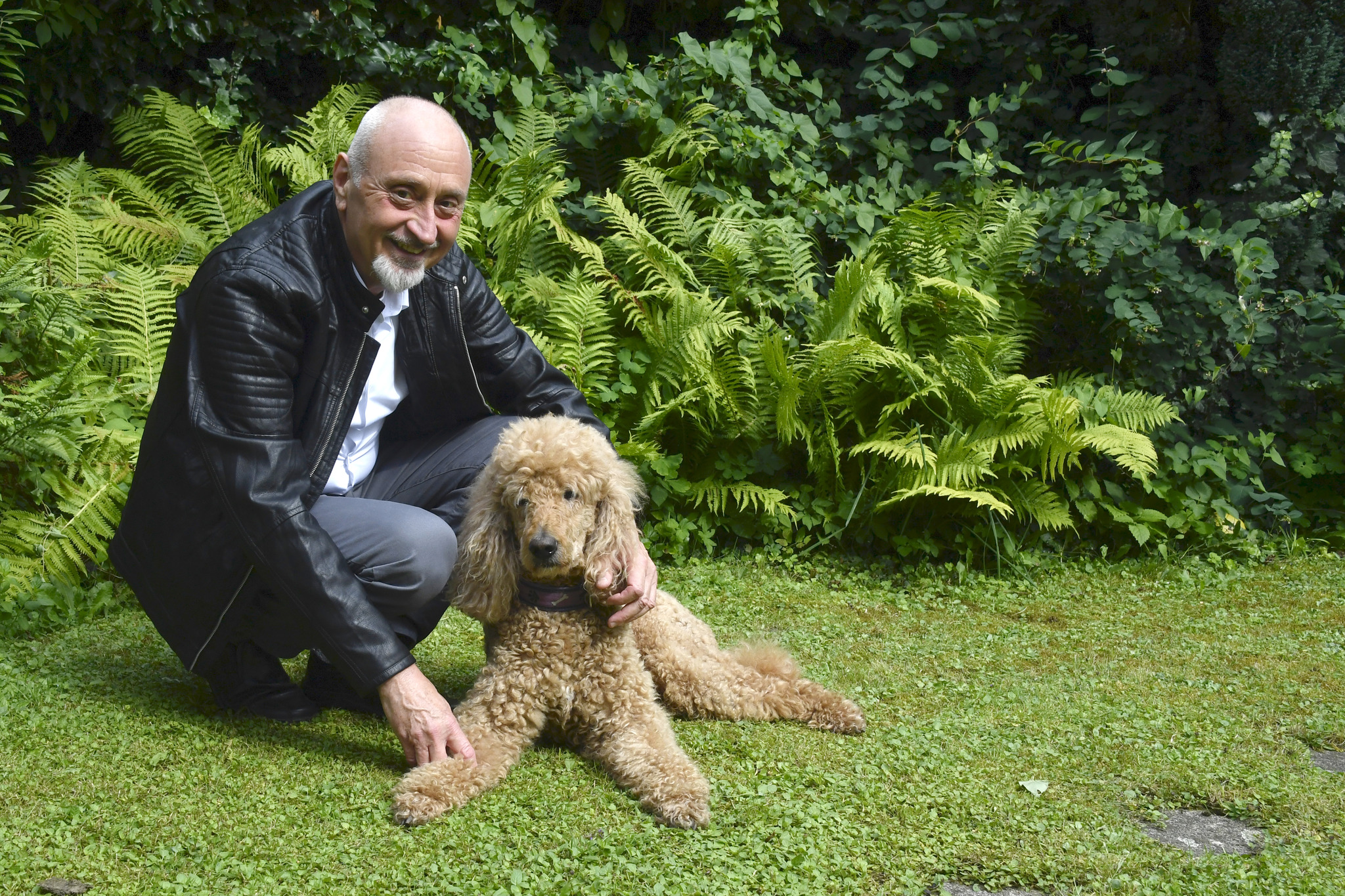 Weichsler und die Herberts ermitteln - Steyr & Steyr Land