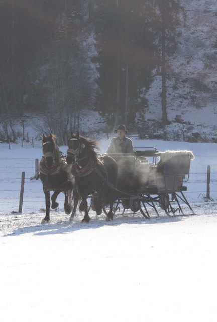 Georg Steger aus Mittersill und seine "Original Pinzgauer Kutschen ...