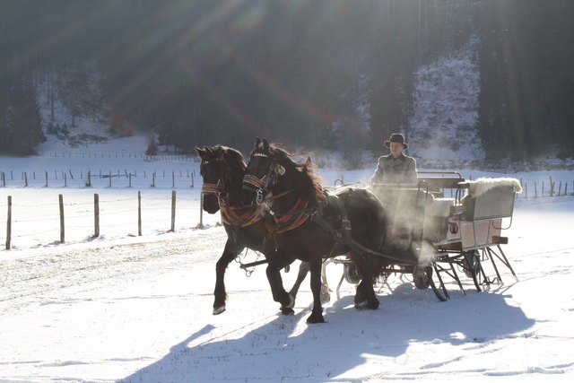 Georg Steger aus Mittersill und seine "Original Pinzgauer Kutschen ...