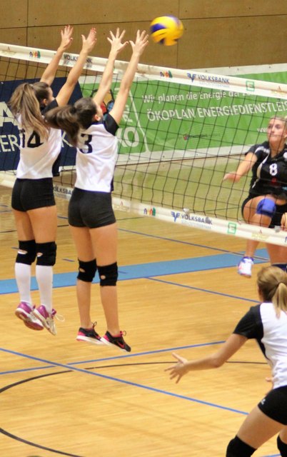 Wild Volleys bleiben ungeschlagen - Oberwart