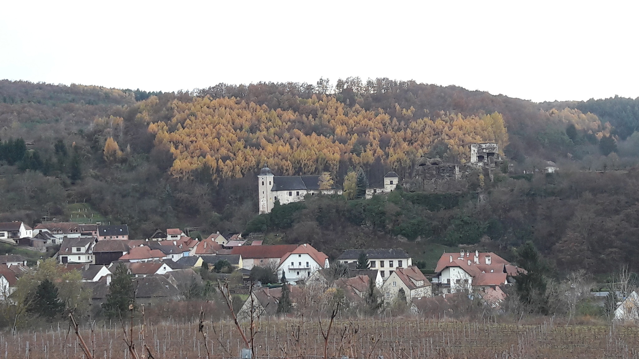 Ein blasser Novembertag über der Ruine Rehberg ! - Krems