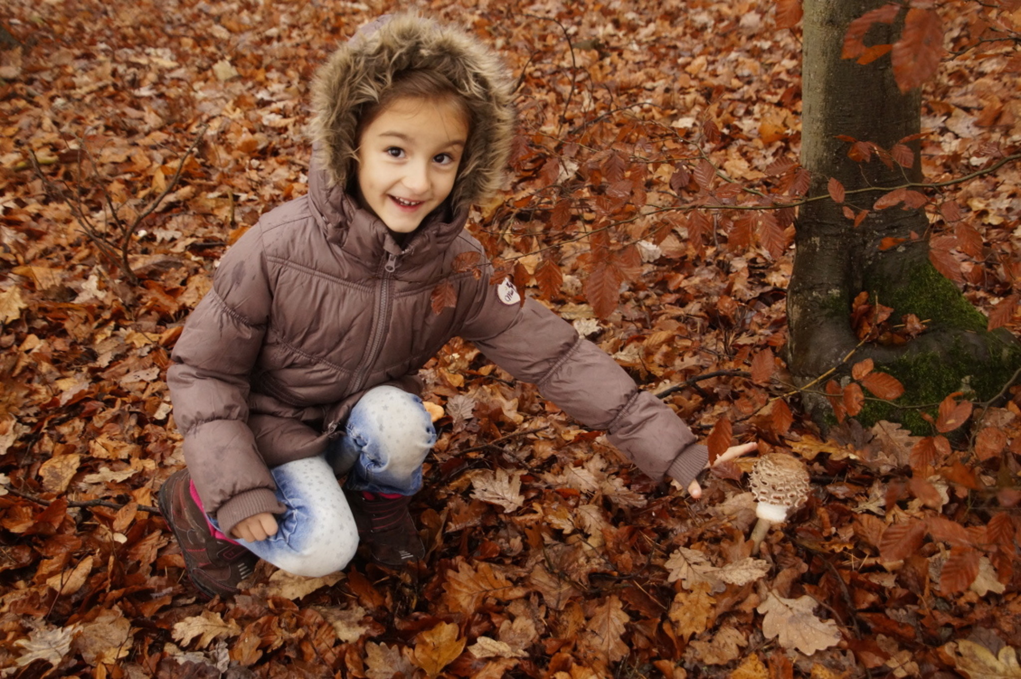 Parasolfund Ende November - Südoststeiermark
