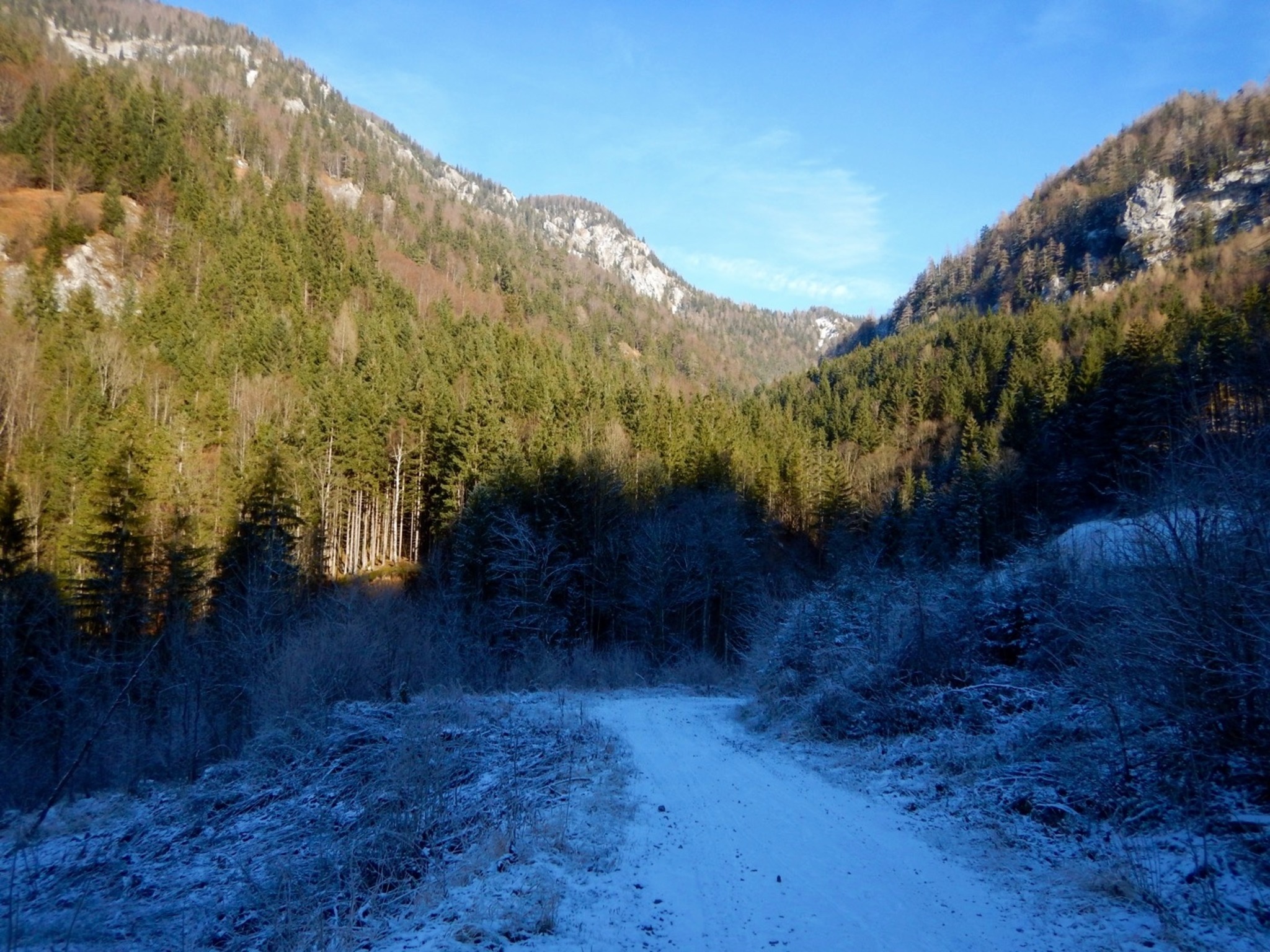 Wanderung am Erlebnisweg Naturspuren in Windischgarsten - Linz-Land
