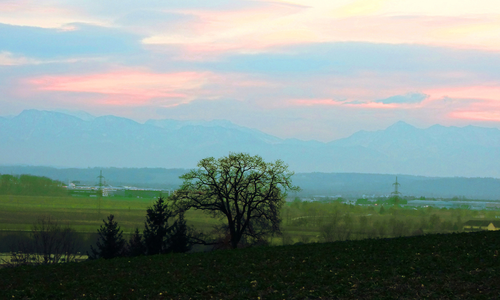 Leonding, die viertgrößte Stadt Oberösterreichs - Linz-Land
