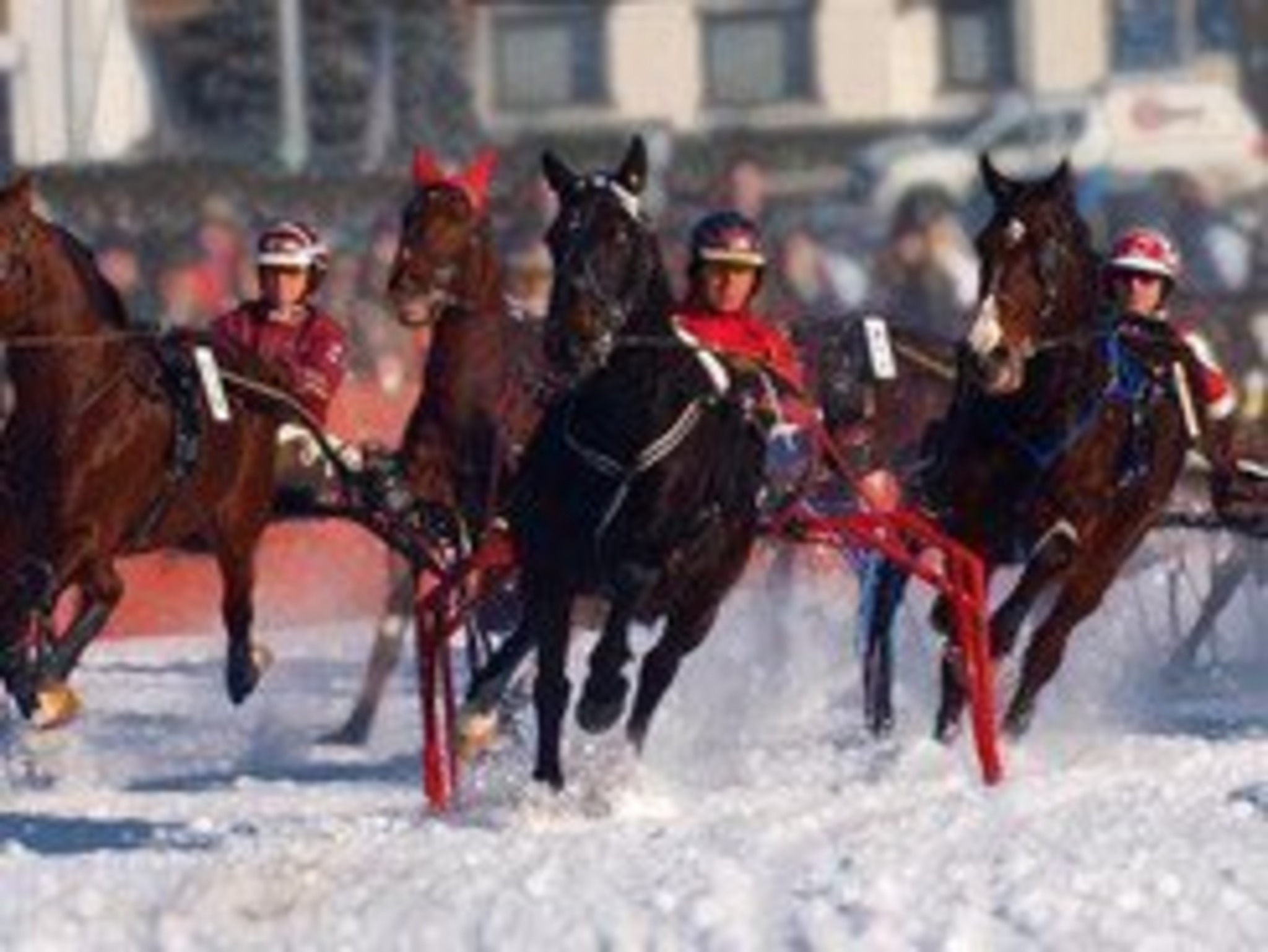 Trabrennen in Kaprun - Pinzgau