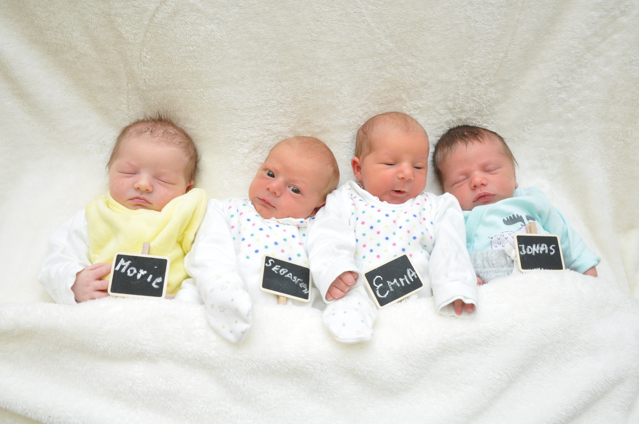Ein wunderbares Baby-Quartett - Freistadt