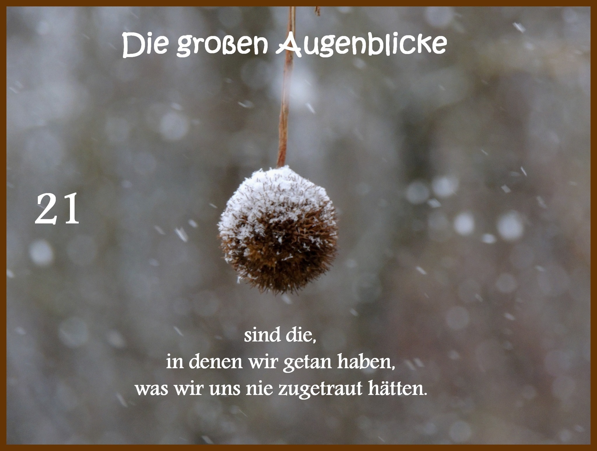 21. Dezember - Fotoadventkalender - Horn