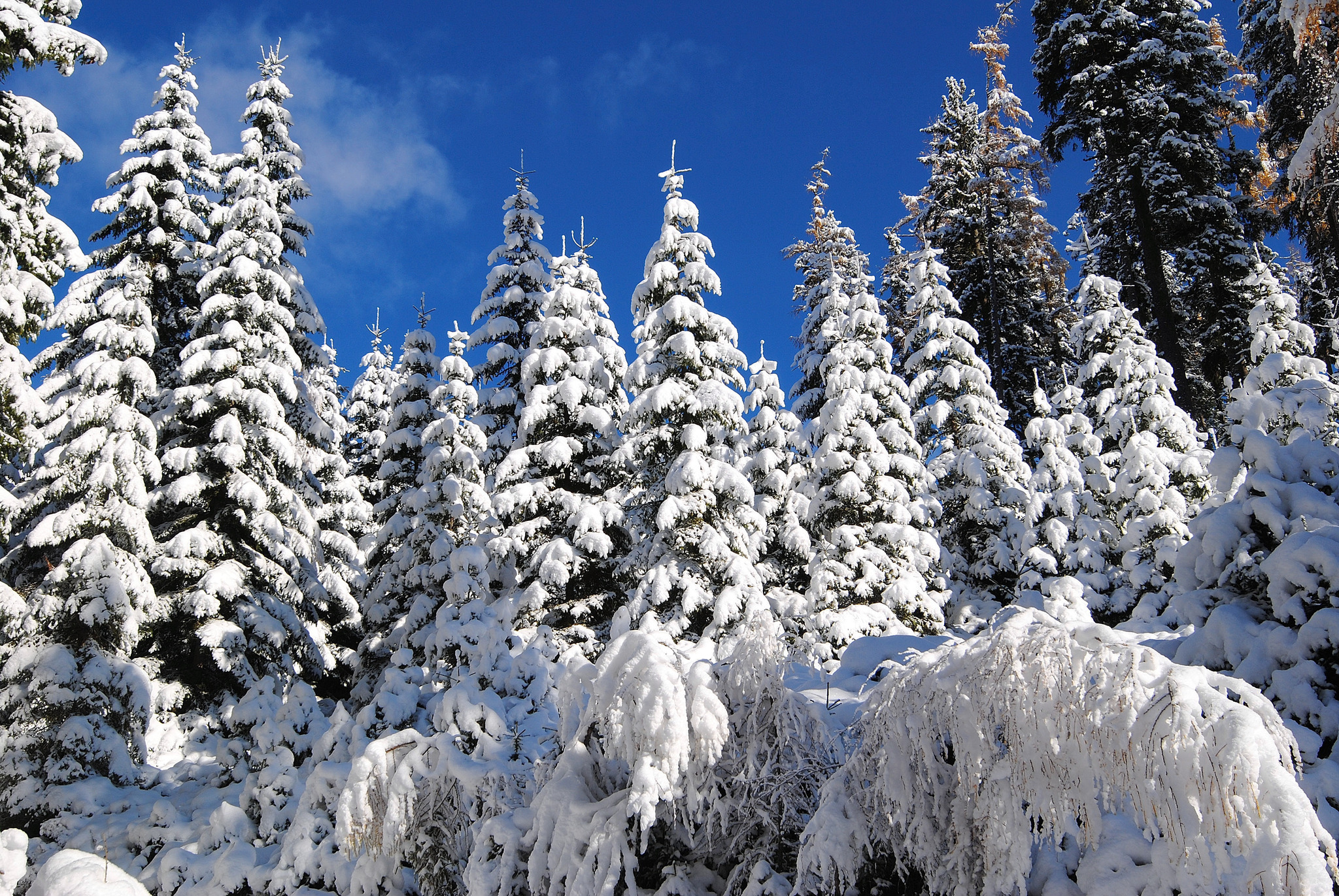 Endlich Neuschnee in Sicht - Innsbruck