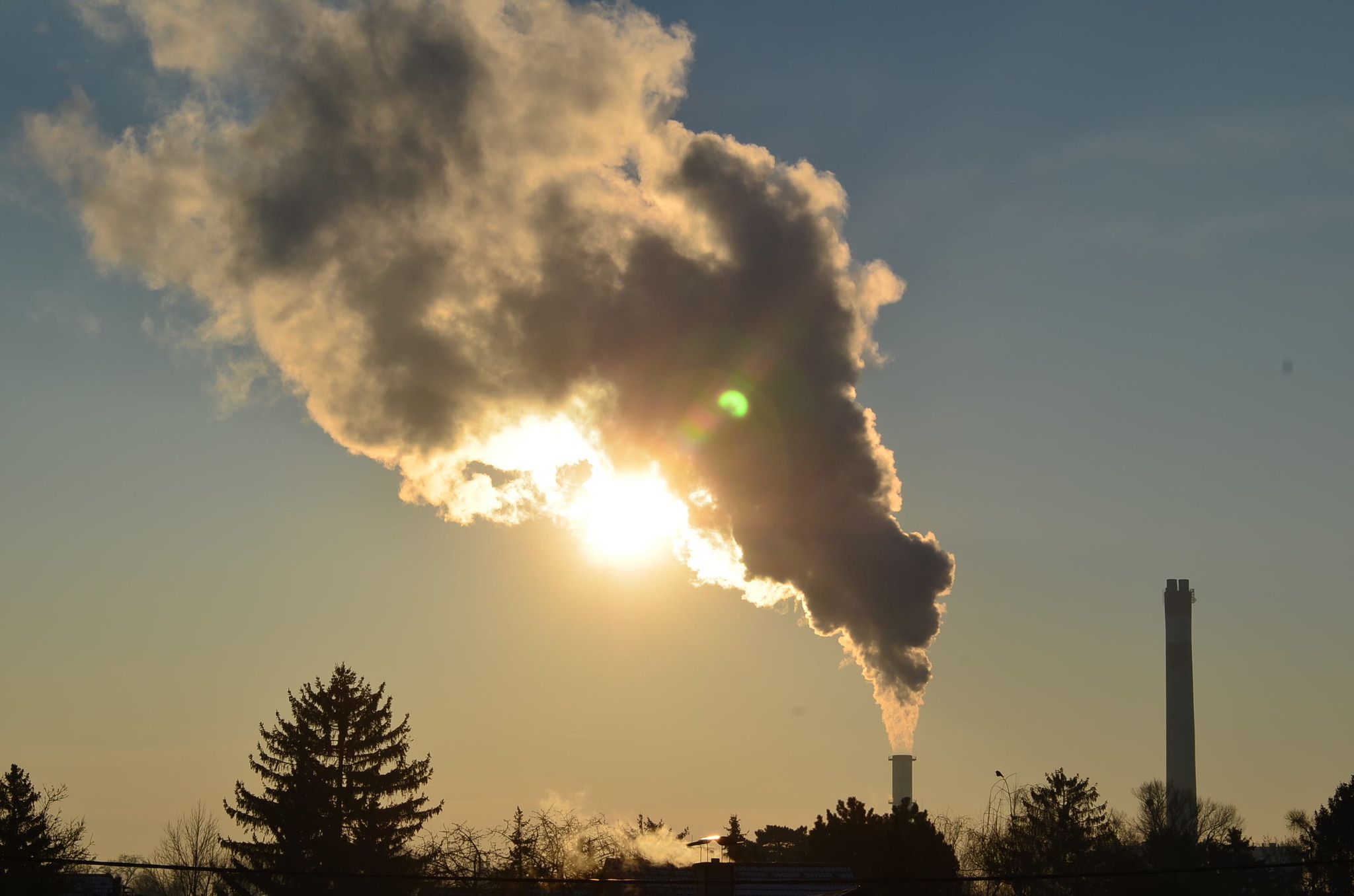 Rauchsignal - Donaustadt