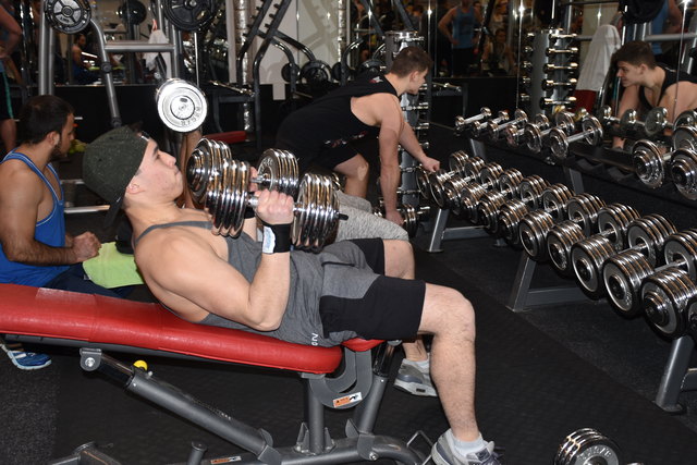 Speedfit Wiener Neustadt holt Fitnessguru und Youtube-Star David ...