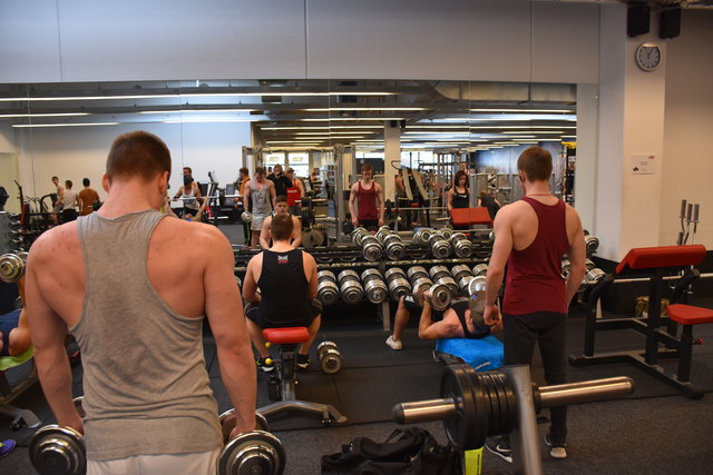 Speedfit Wiener Neustadt holt Fitnessguru und Youtube-Star David ...