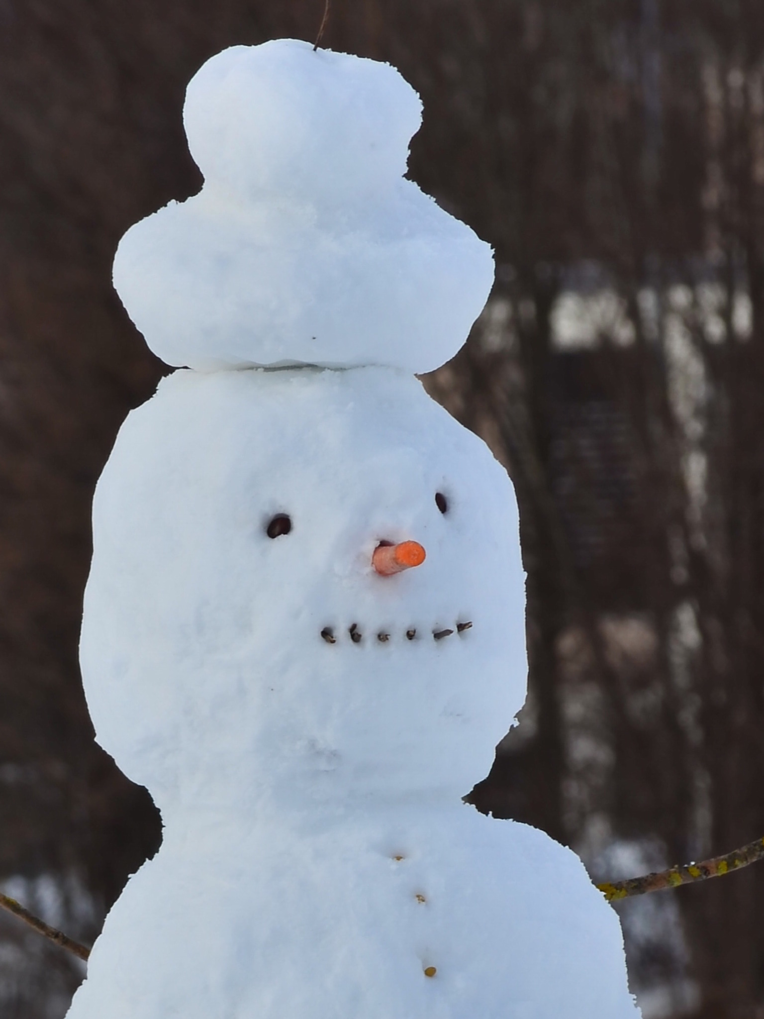 Schneemann-Portrait - Salzburg-Stadt