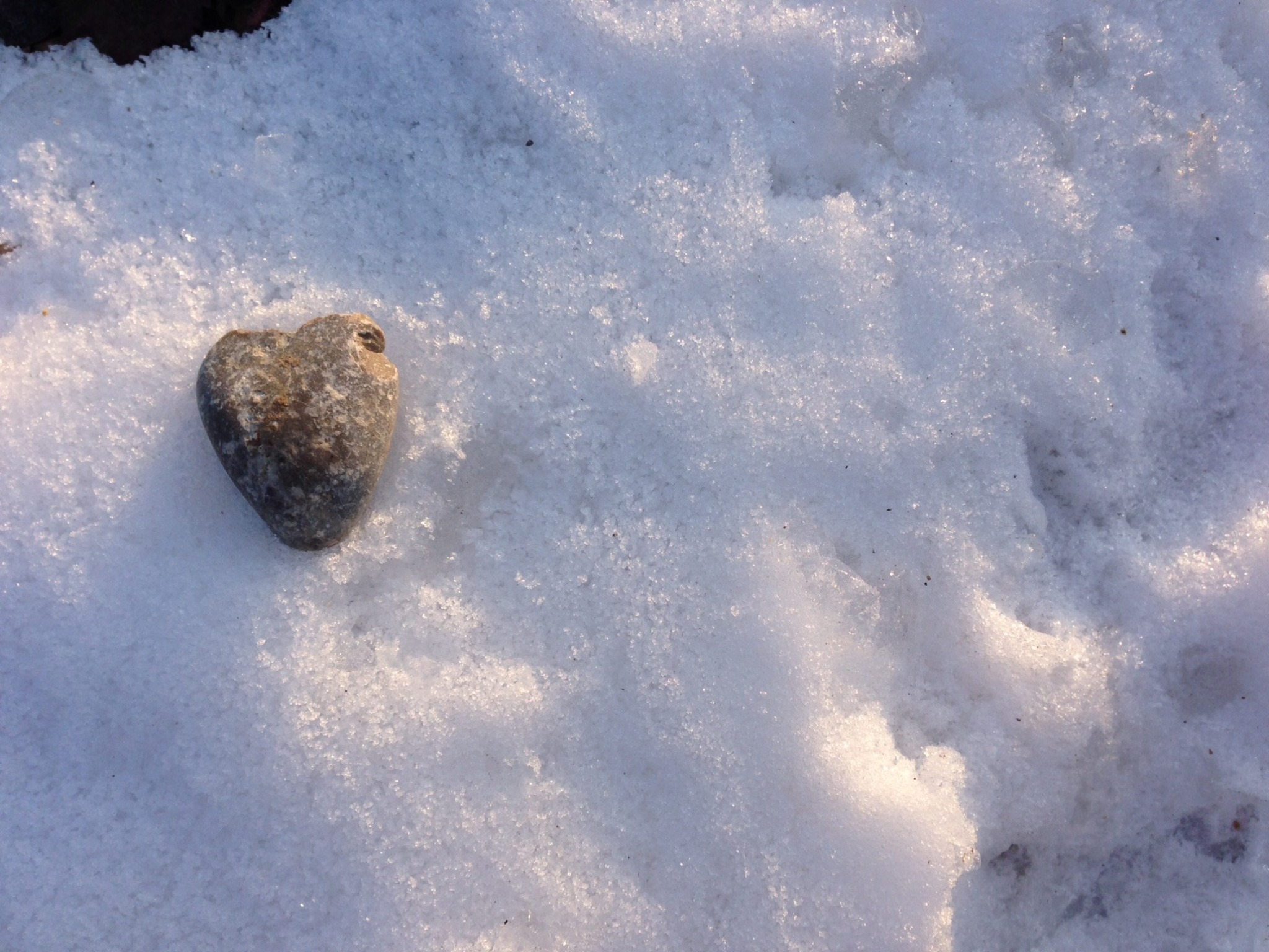 Stausee Forchtenstein - auch im Winter ein Paradies - Mattersburg