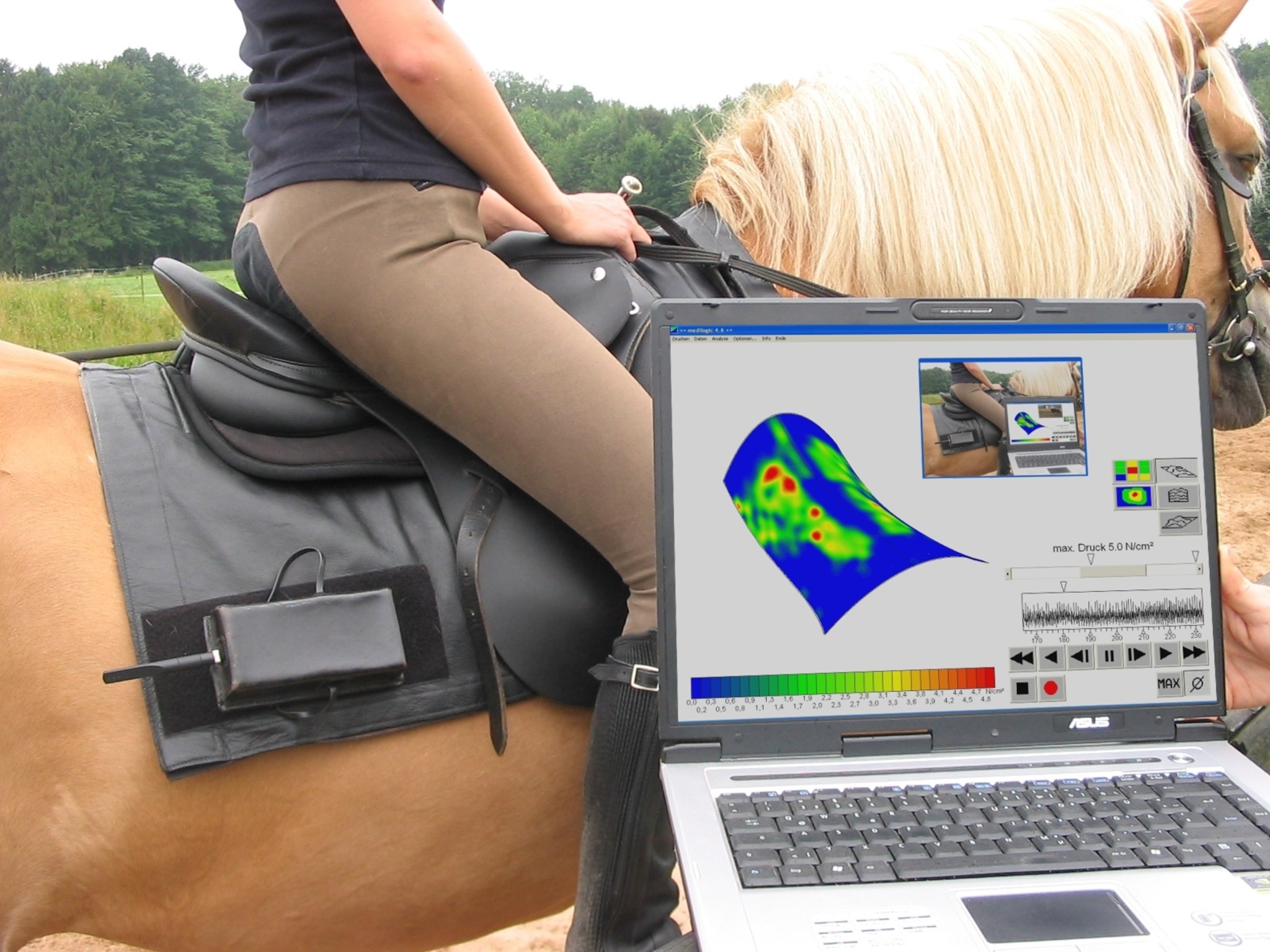 Druckmessung unter dem Pferdesattel - Enns