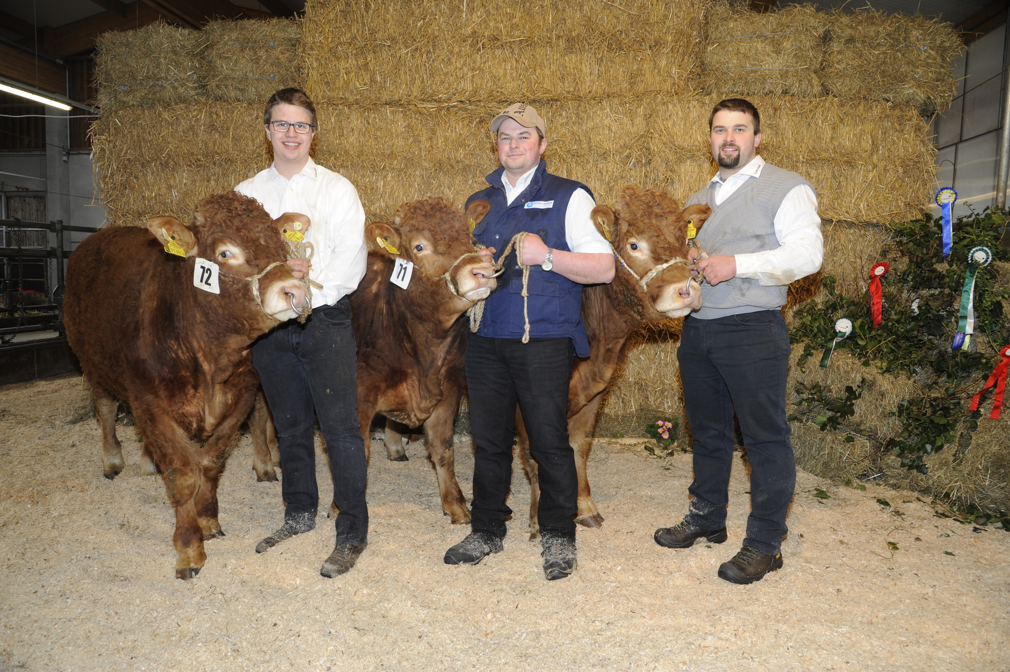 Alles für das Rind in Wieselburg - Scheibbs