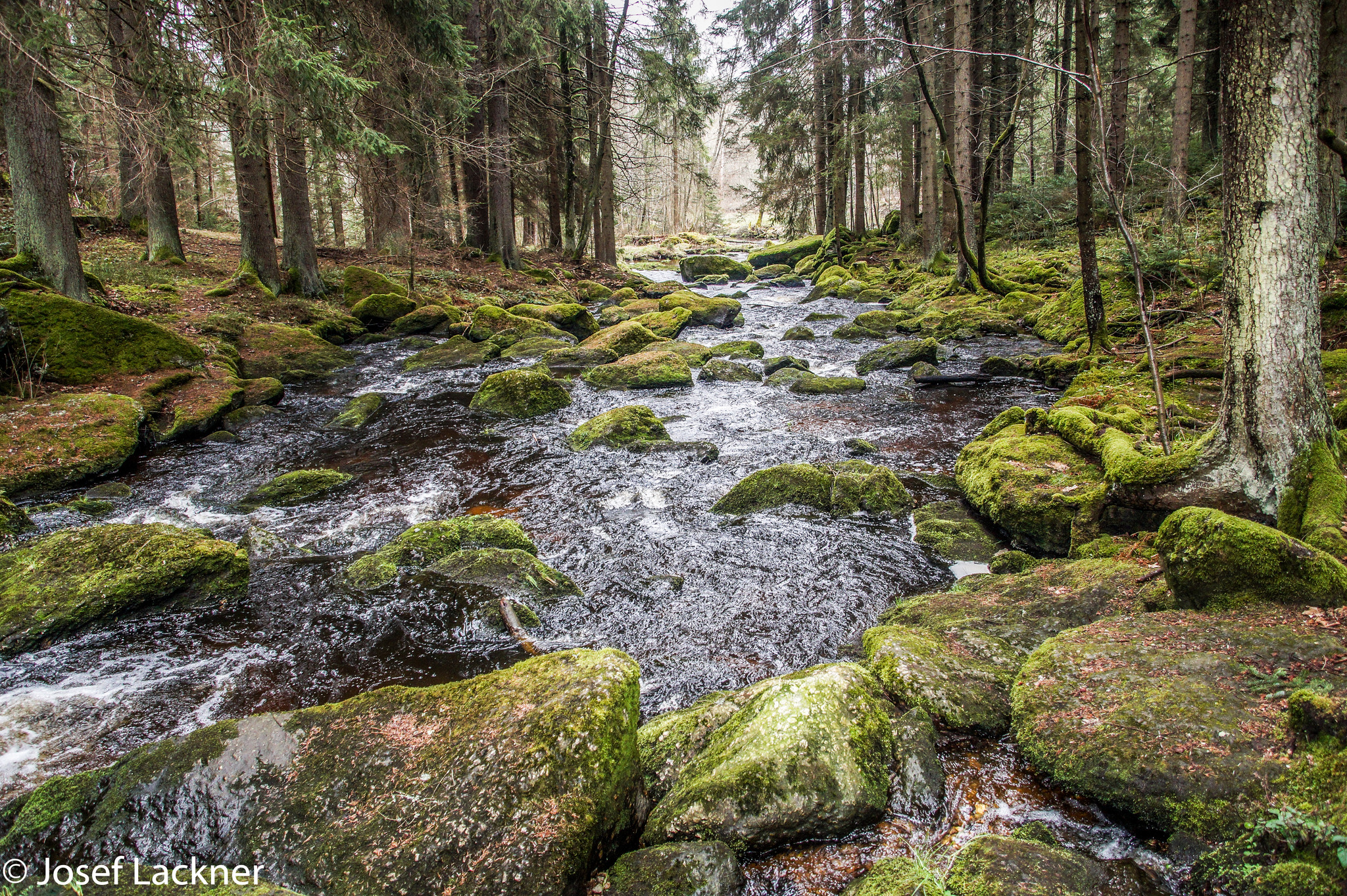 Höllfall, Arbesbach - Zwettl