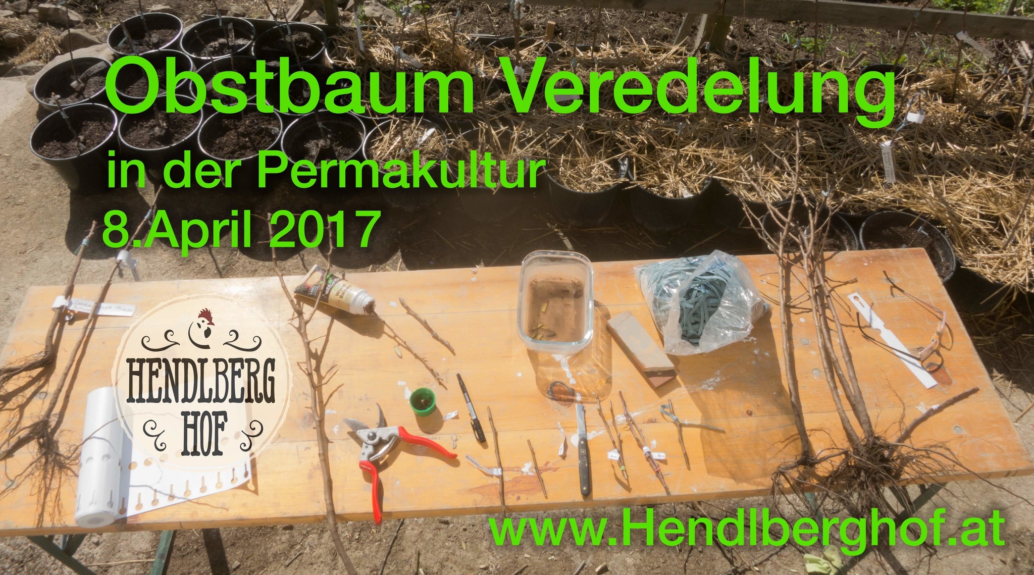 Obstbaum Veredelung Kurs - Baden