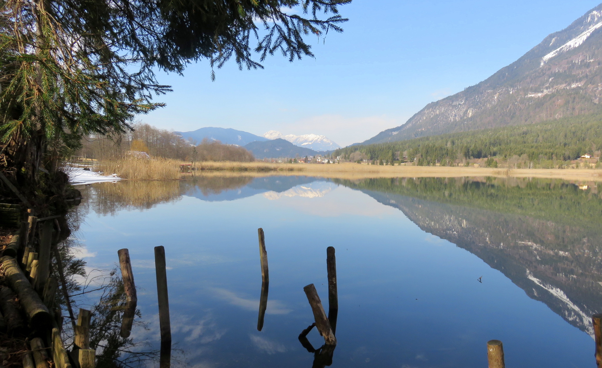 Frühlingsstimmung am Pressegger See - Gailtal