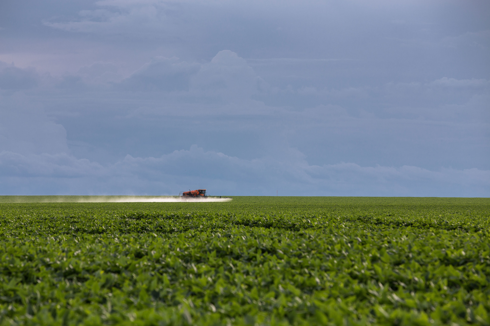 Filmpremiere: "Soja: Der Fleisch gewordene Wahnsinn" - Graz
