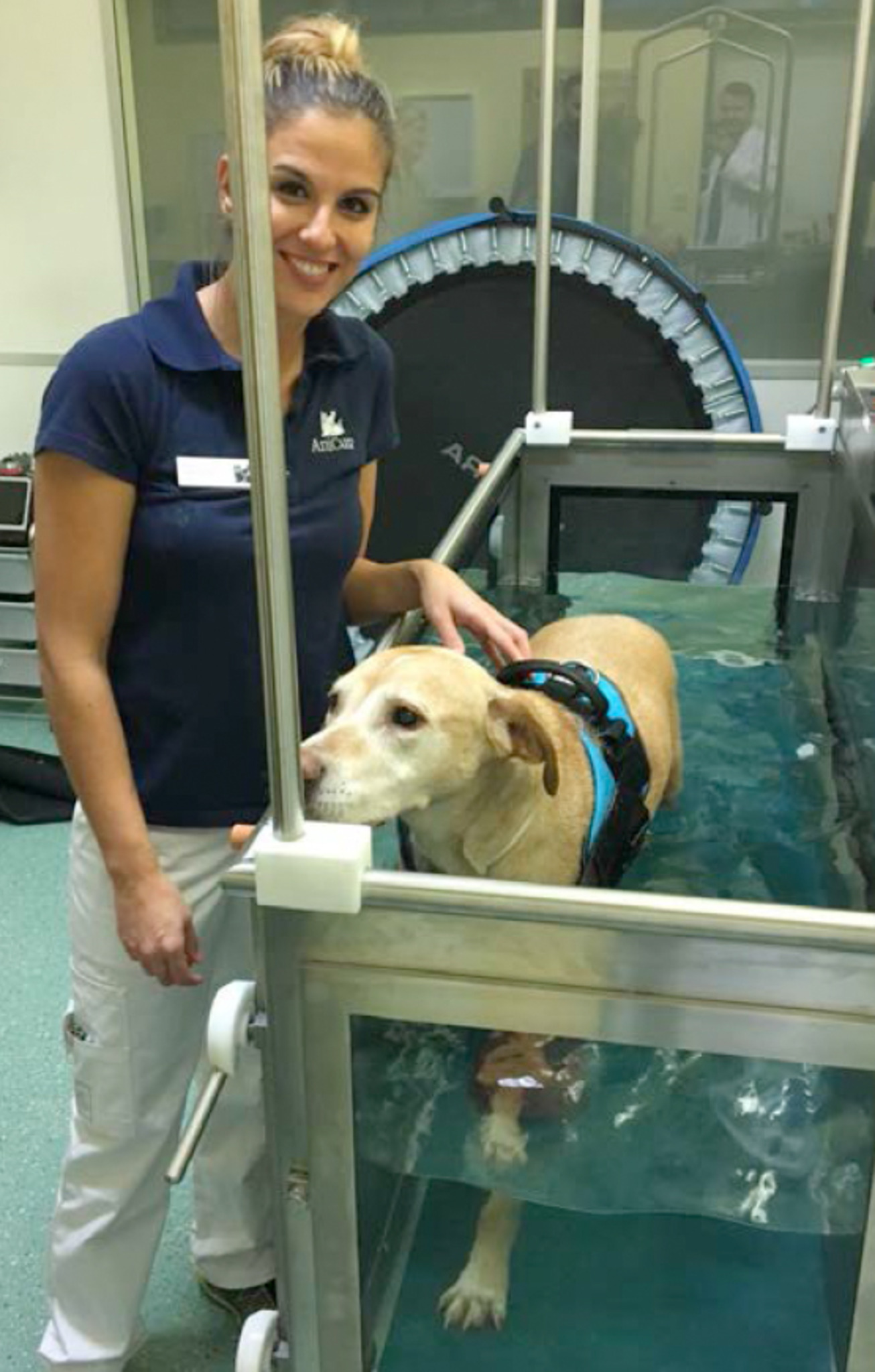 Physiotherapie in der Tierklinik - Hollabrunn