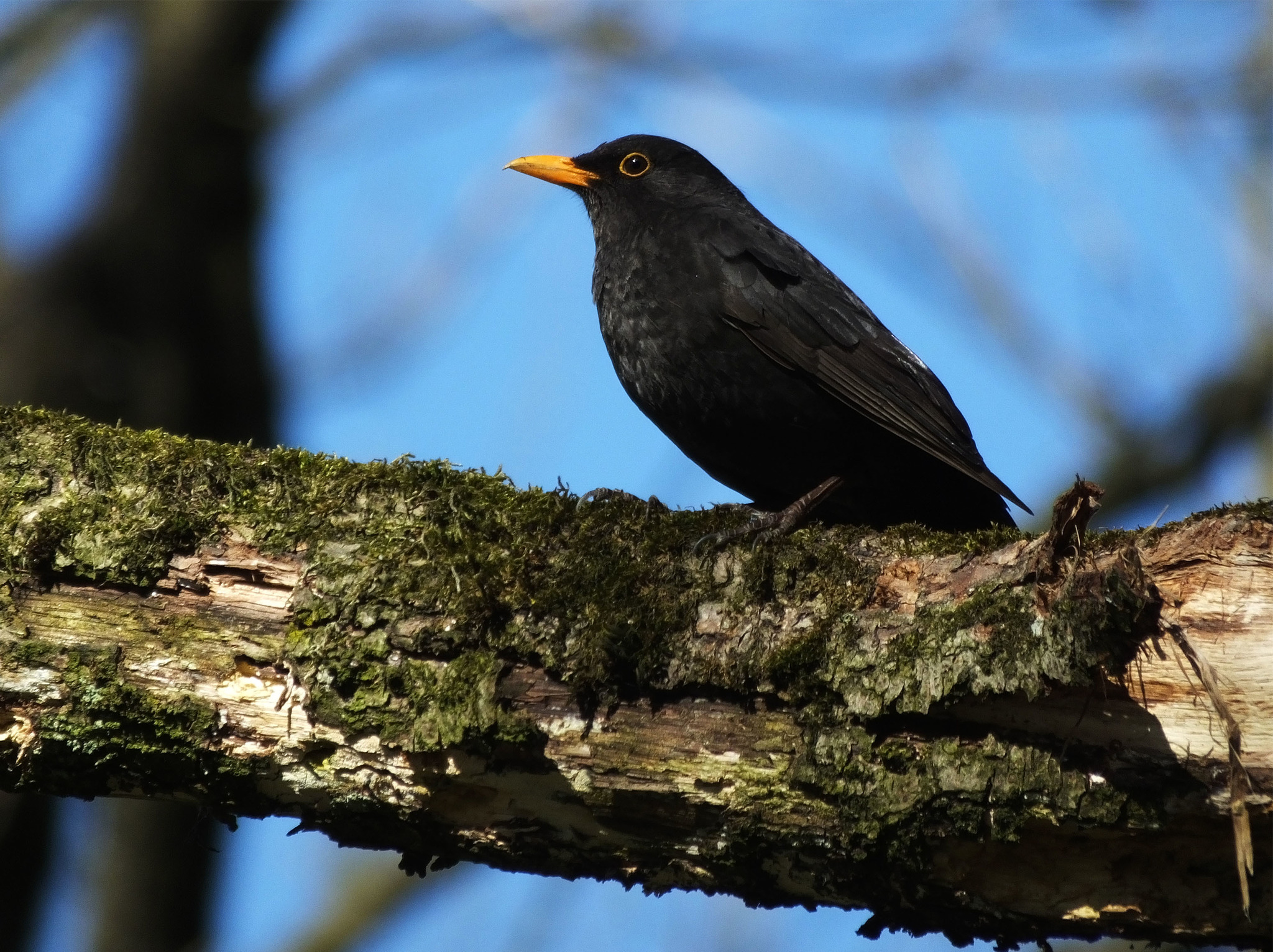 Sich Übersicht verschaffen - Tennengau