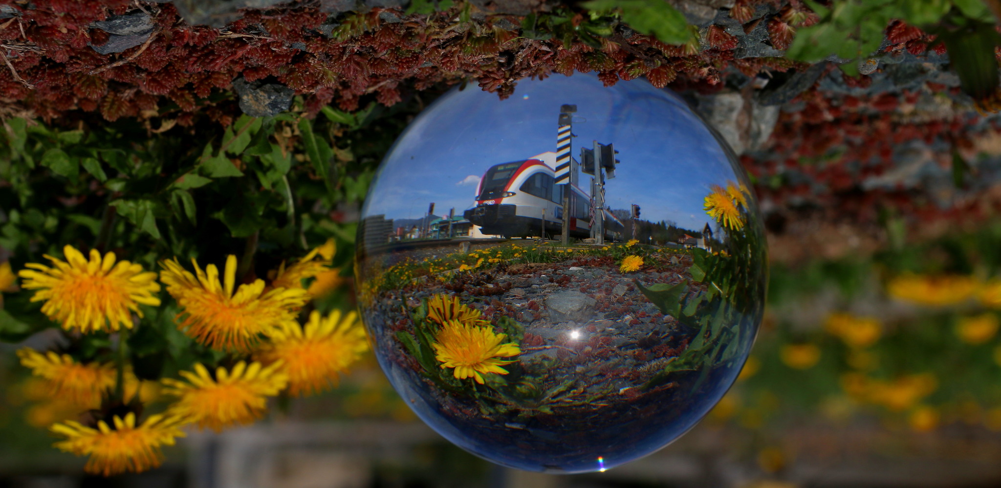 Da "Realsolot" bliat - Deutschlandsberg