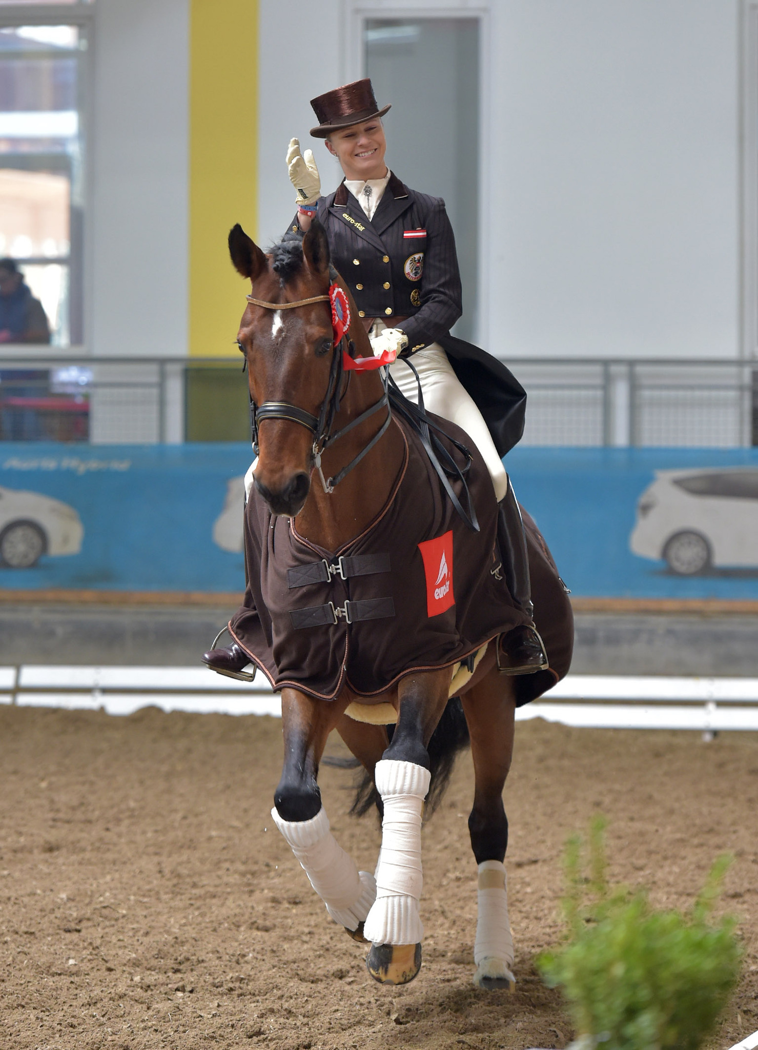 Großes internationales Reitturnier in Stadl-Paura - Wels & Wels Land
