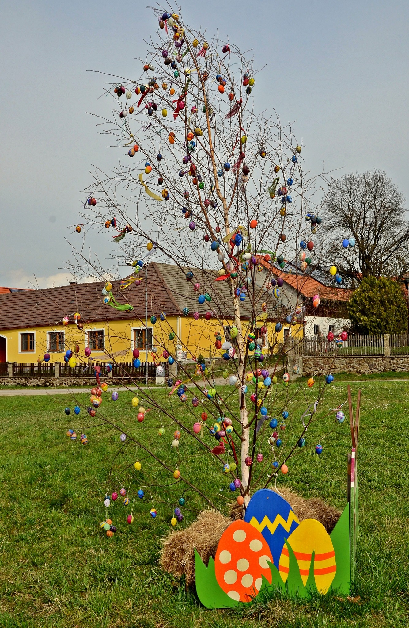 Osterbaum im Waldviertel - Krems