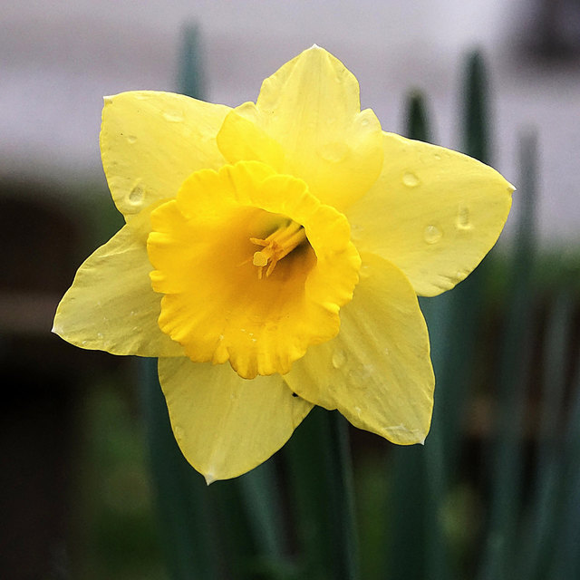 "OSTERGLOCKEN" ... - Kufstein