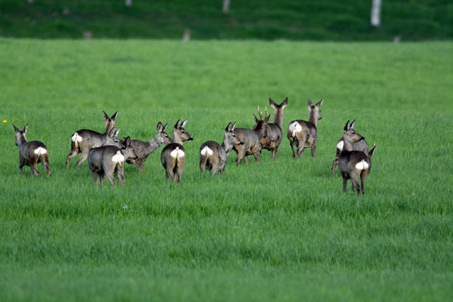 Spieglein, Spieglein ... - Braunau