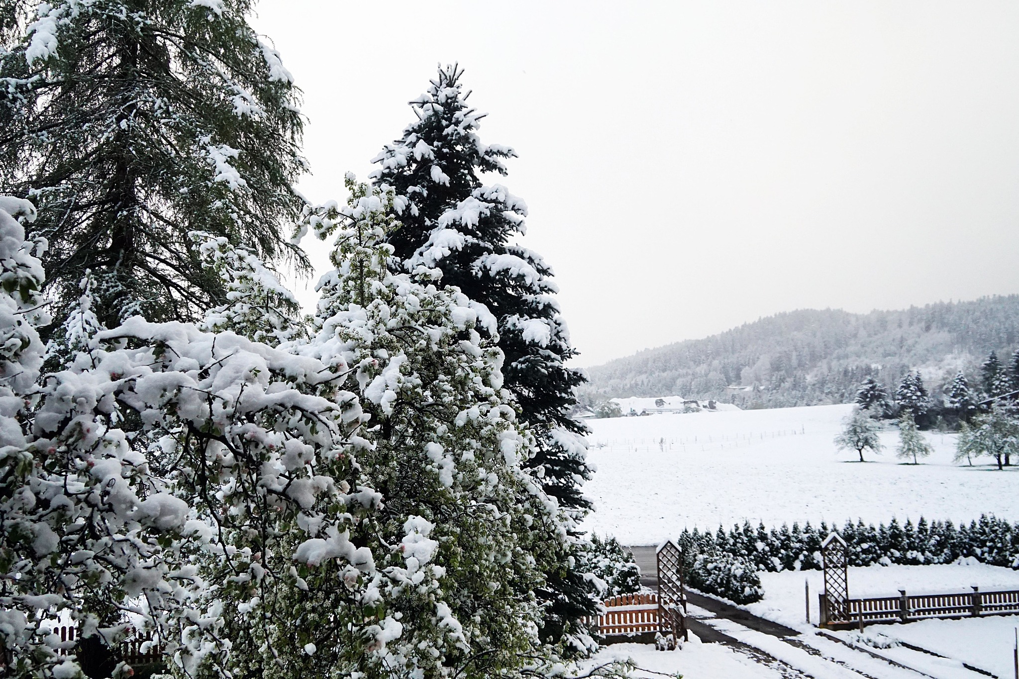 der Winter ist wieder da! - Kufstein
