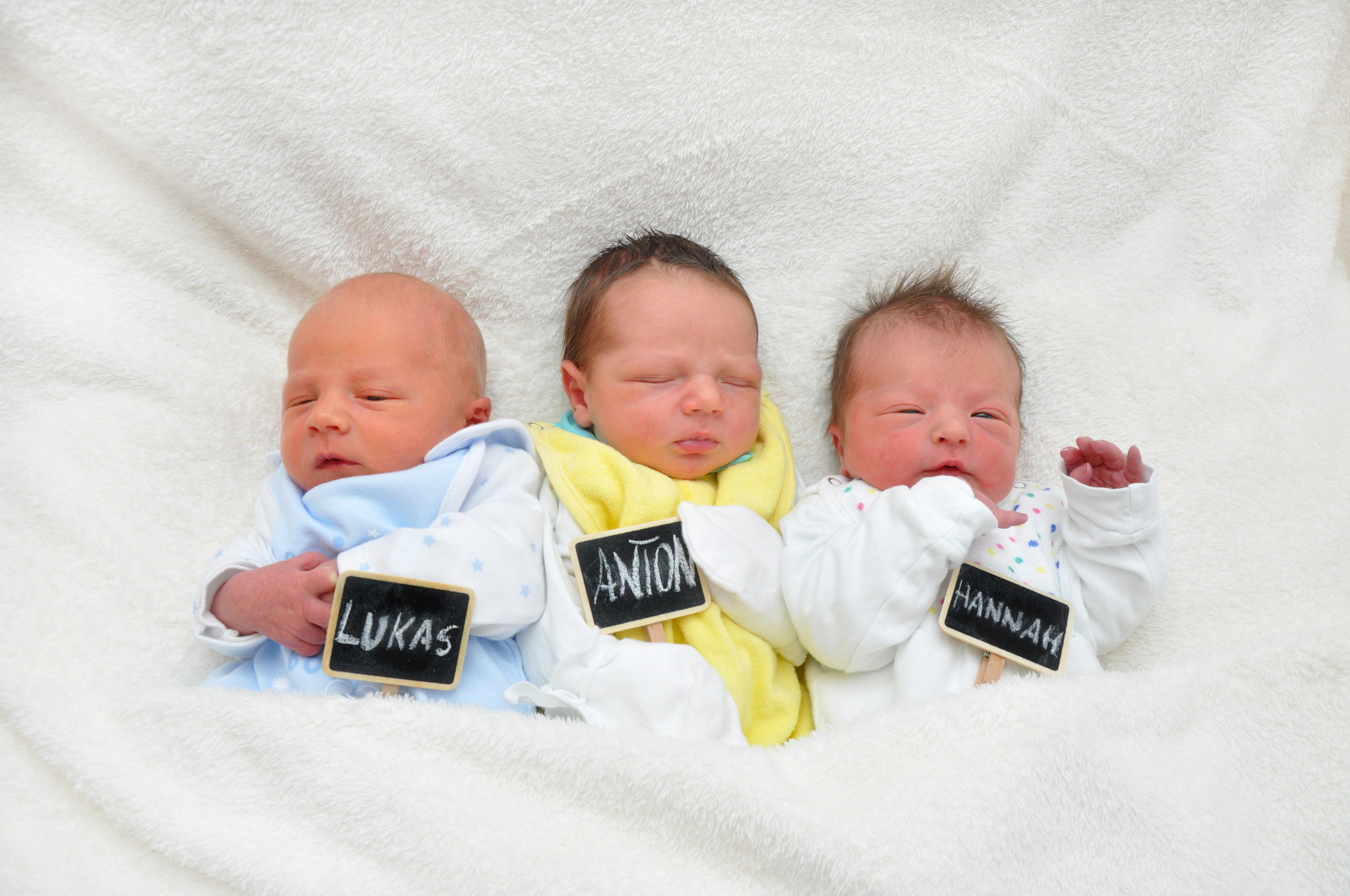 Große Freude über wunderbares Baby-Trio - Freistadt