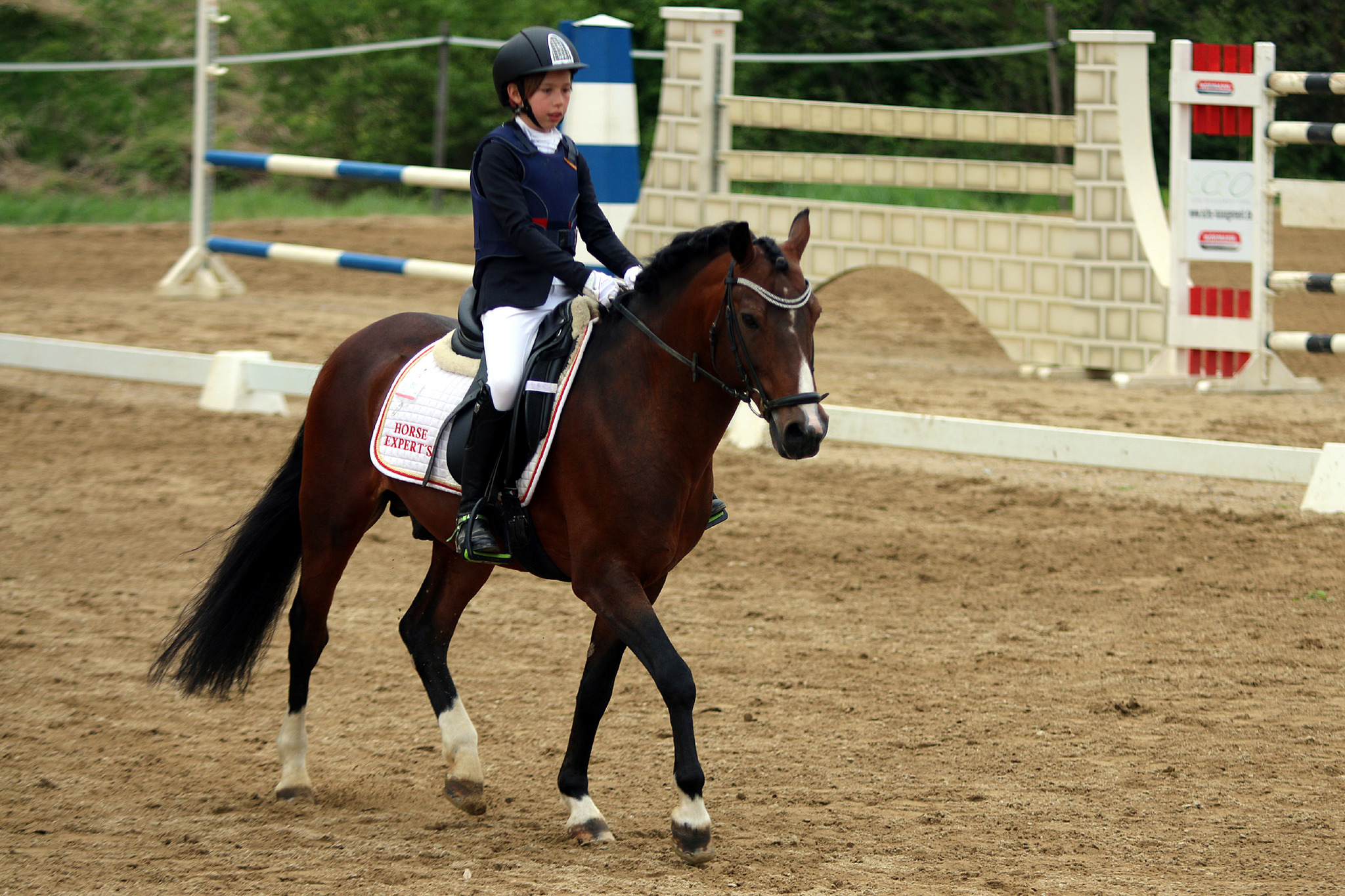 Talente zeigen im Pferdesport auf - Jennersdorf