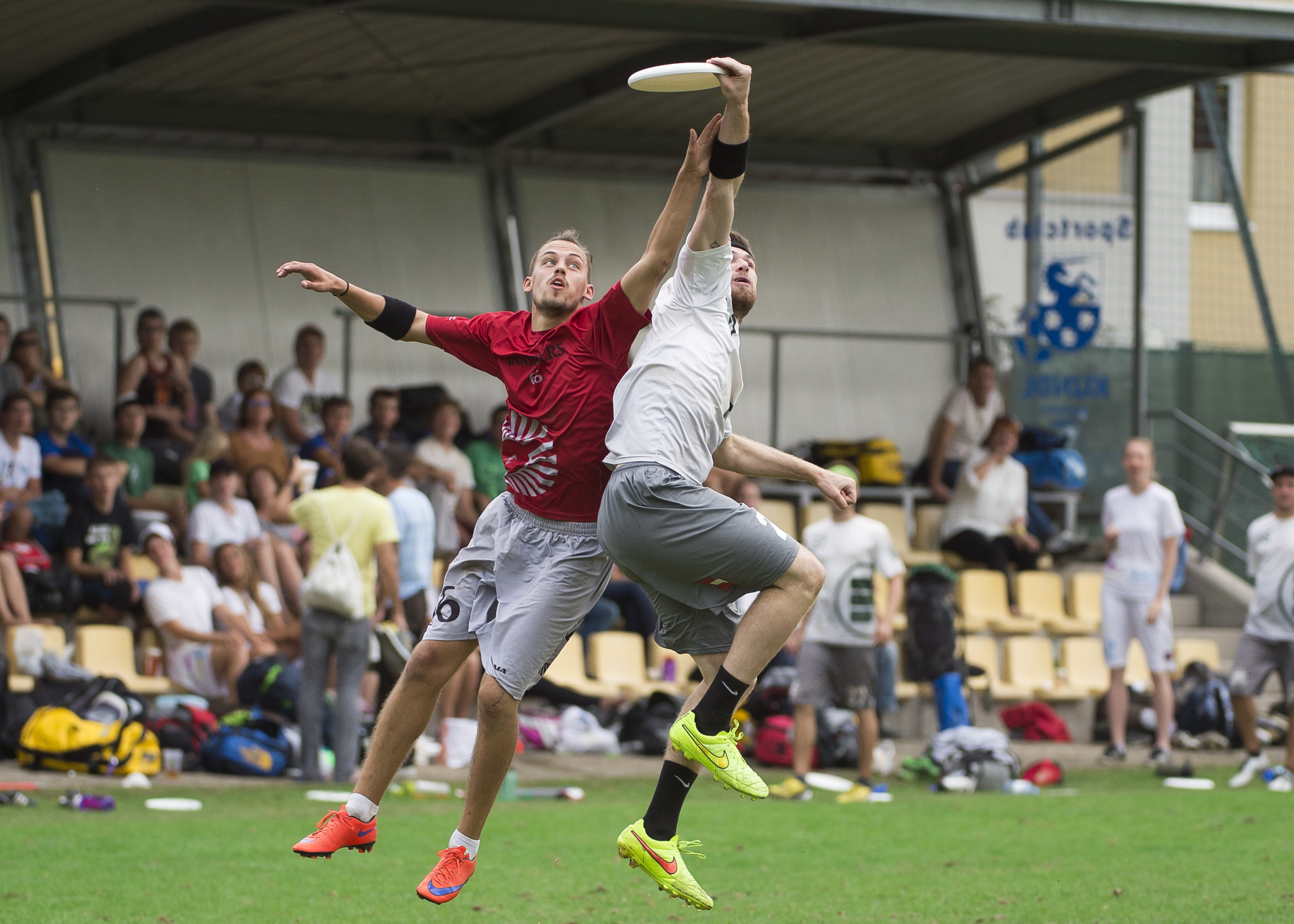 Alles jagt die Scheibe in Schwechat - Schwechat