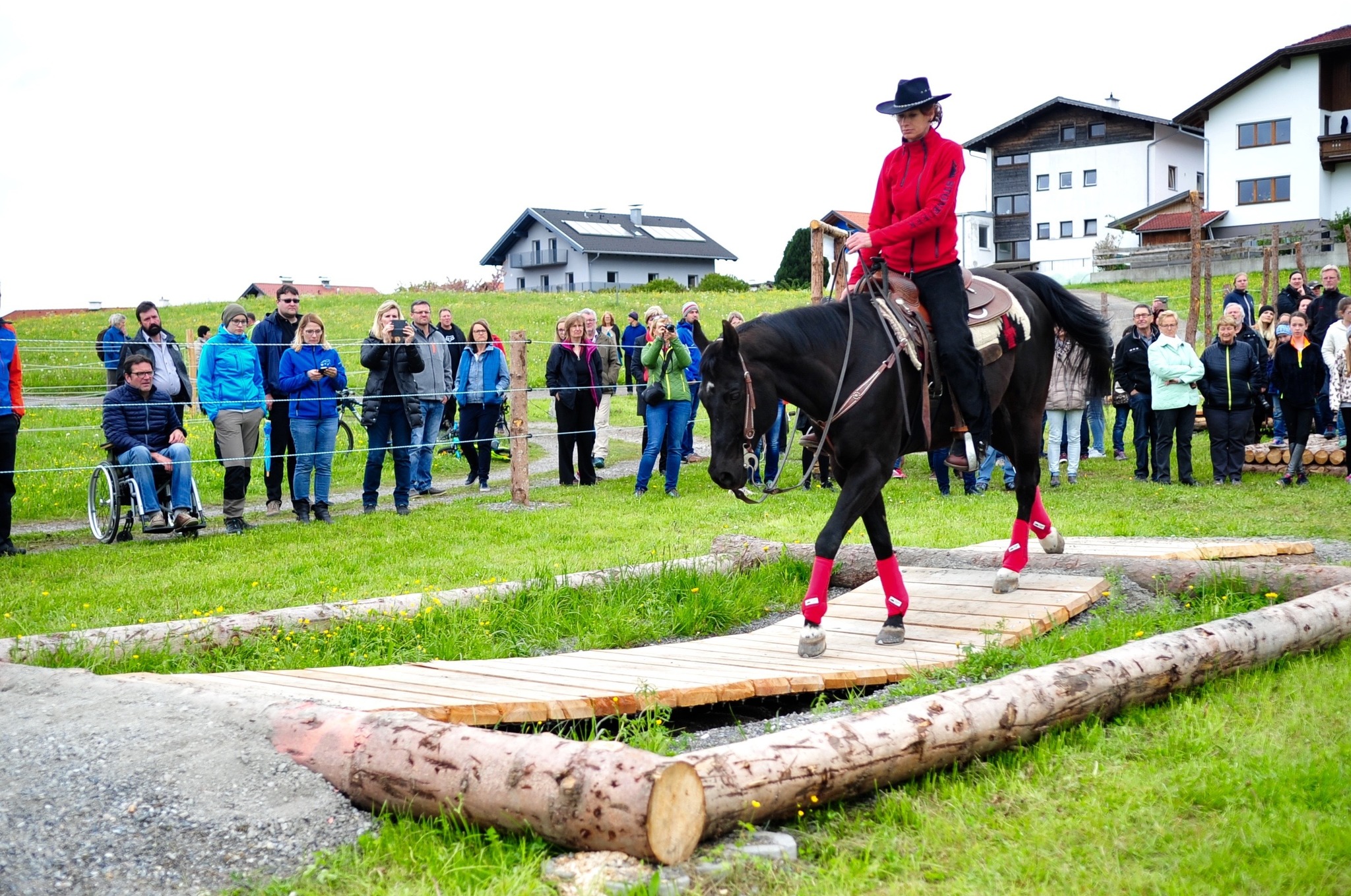 Neues Erlebnis für Pferd und Reiter - Westliches Mittelgebirge