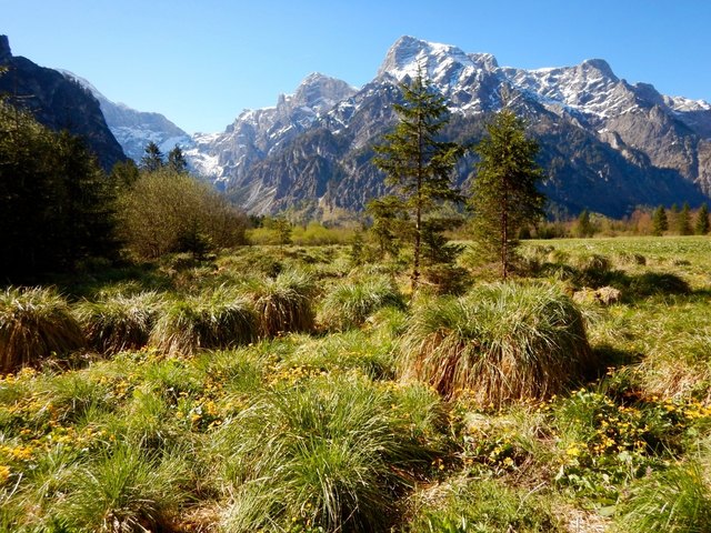 "Genuss am Almfluss" Wanderung vom Almsee nach Grünau der Alm entlang ...
