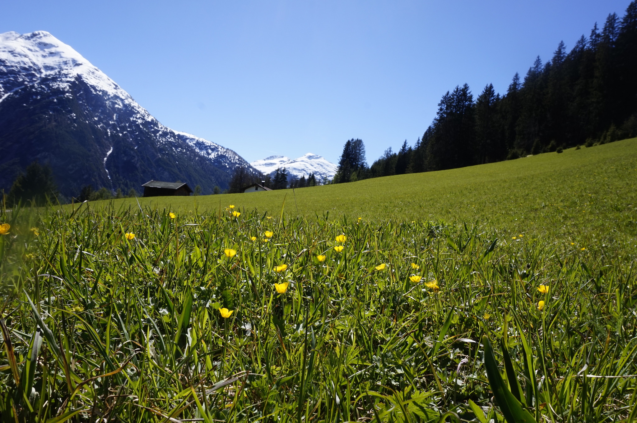 Frühling wirds`s im Lechtal - Reutte